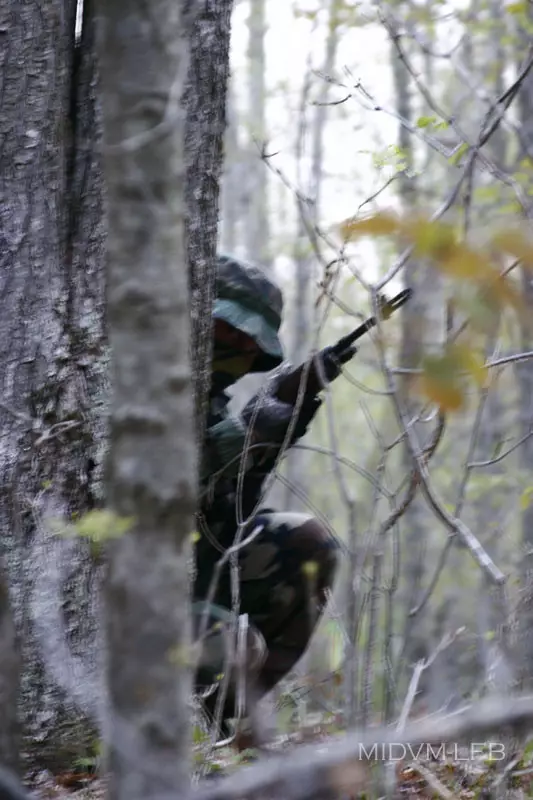 Партизанска война в САЩ