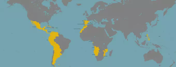 Armada Española ni agbaye ti Gran España. Ile -iṣẹ, awọn ipilẹ ọkọ oju omi