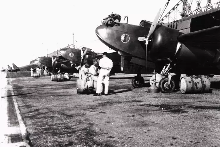 Buamadóirí tumadóireachta SIAI-Marchetti SM.85 agus SM.86