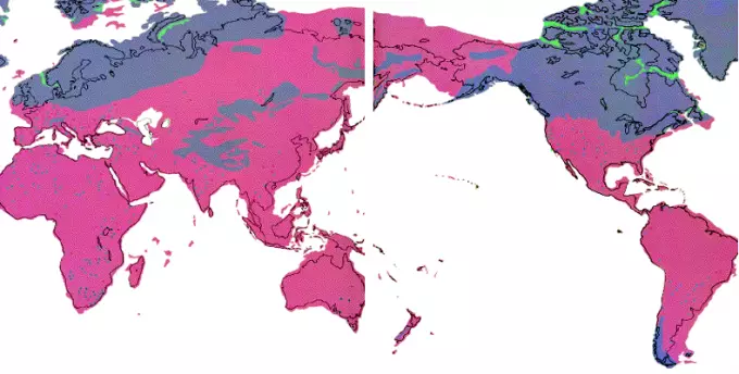 Antidiluvi geograafia. 7. osa