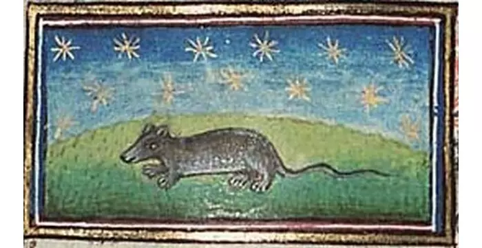 Bestiaries: medieval misconceptions about animals