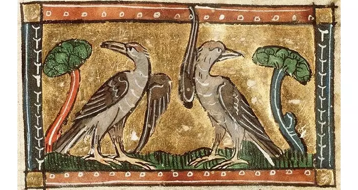 Bestiaries: medieval misconceptions about animals