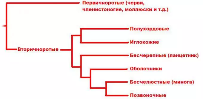 Да пытання аб самых старажытных продкаў. частка 2