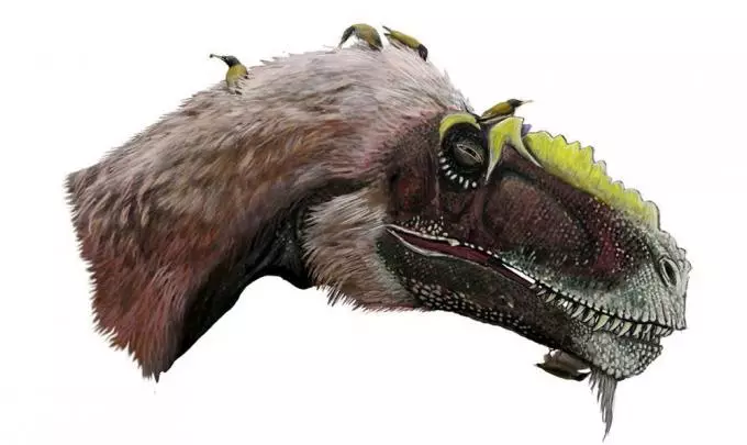 Tyrannosaurs miroborobo