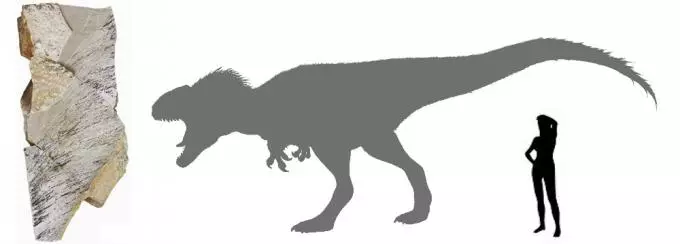 Tyrannosaur berbulu