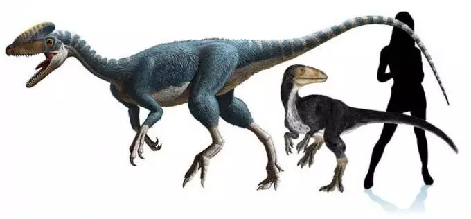 Tyrannosaur berbulu