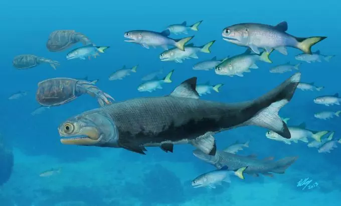 Paleozoikum: a halak kora