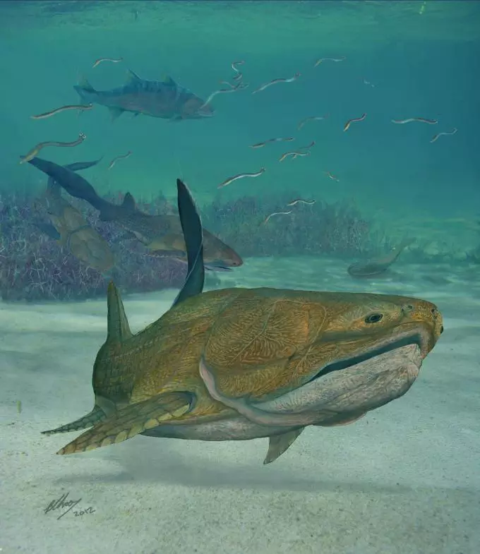 Paleozoikum: a halak kora