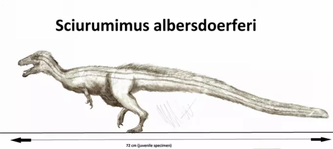 Hujan atau Sciurumimus albersdoerferi