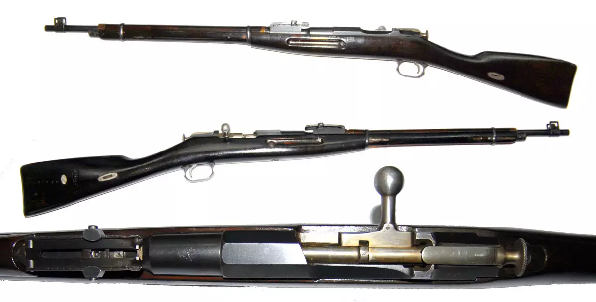 Smirnsky- ის Malocaliberian Rifle (მოდელი 1) TGMO