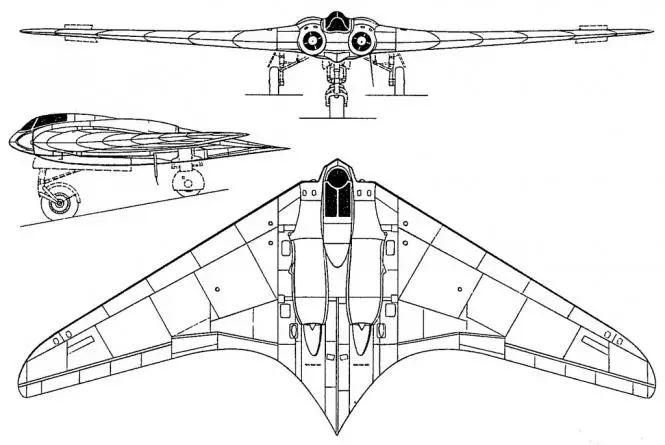 Hermann Goering en de onzichtbare vleugel of het eerste stealth-vliegtuig - Horten No-229. Duitsland