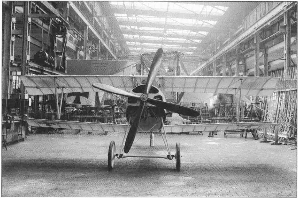 Nieuport auf Deutsch. Jagdflugzeug Siemens-Schuckert D.I. Deutschland