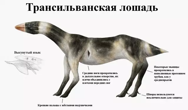 Xenobiologesche Projet 