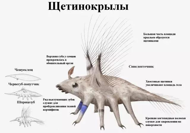 Projekti Xenobiologjik 