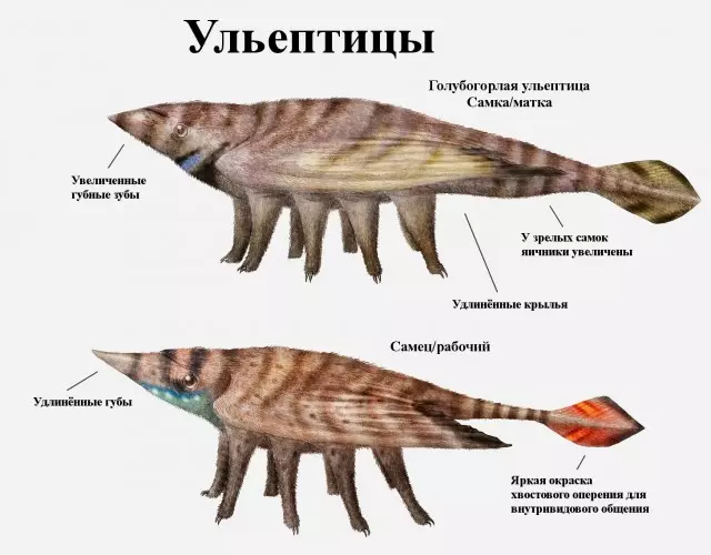 Xenobiological project 