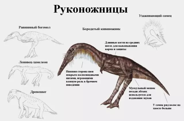 Tionscadal Xenobiological 