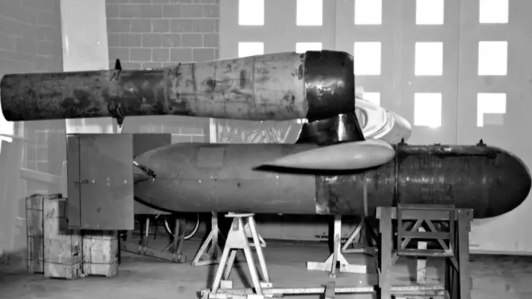 "Tomahawk" za poppin: Kako stvoriti raketu sa transponderom i golubom