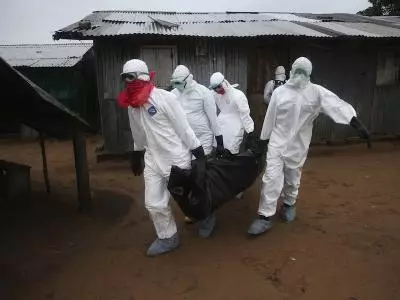 Wat sal gebeur as die Ebola -virus Moskou bereik?