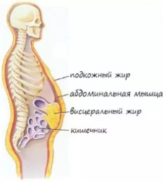 Erè pwogramasyon nan Linivè. Pwa kò imen