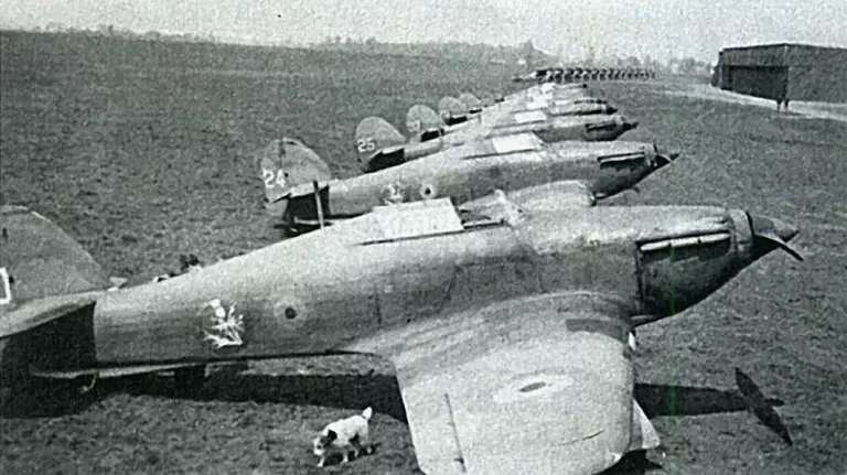 2 차 세계 대전에있는 항공 벨기에