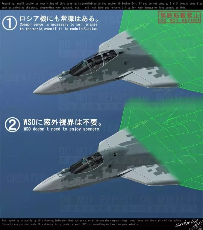 I Japan tilbød muligheder for layouts af den dobbelte hytte af den russiske fighter af den femte generation SU-57