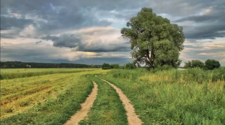 Natura benzii de mijloc: Coloniștii slavi ai secolelor VII-VIII ar putea fi văzute. Fotografii din imagini Yandex