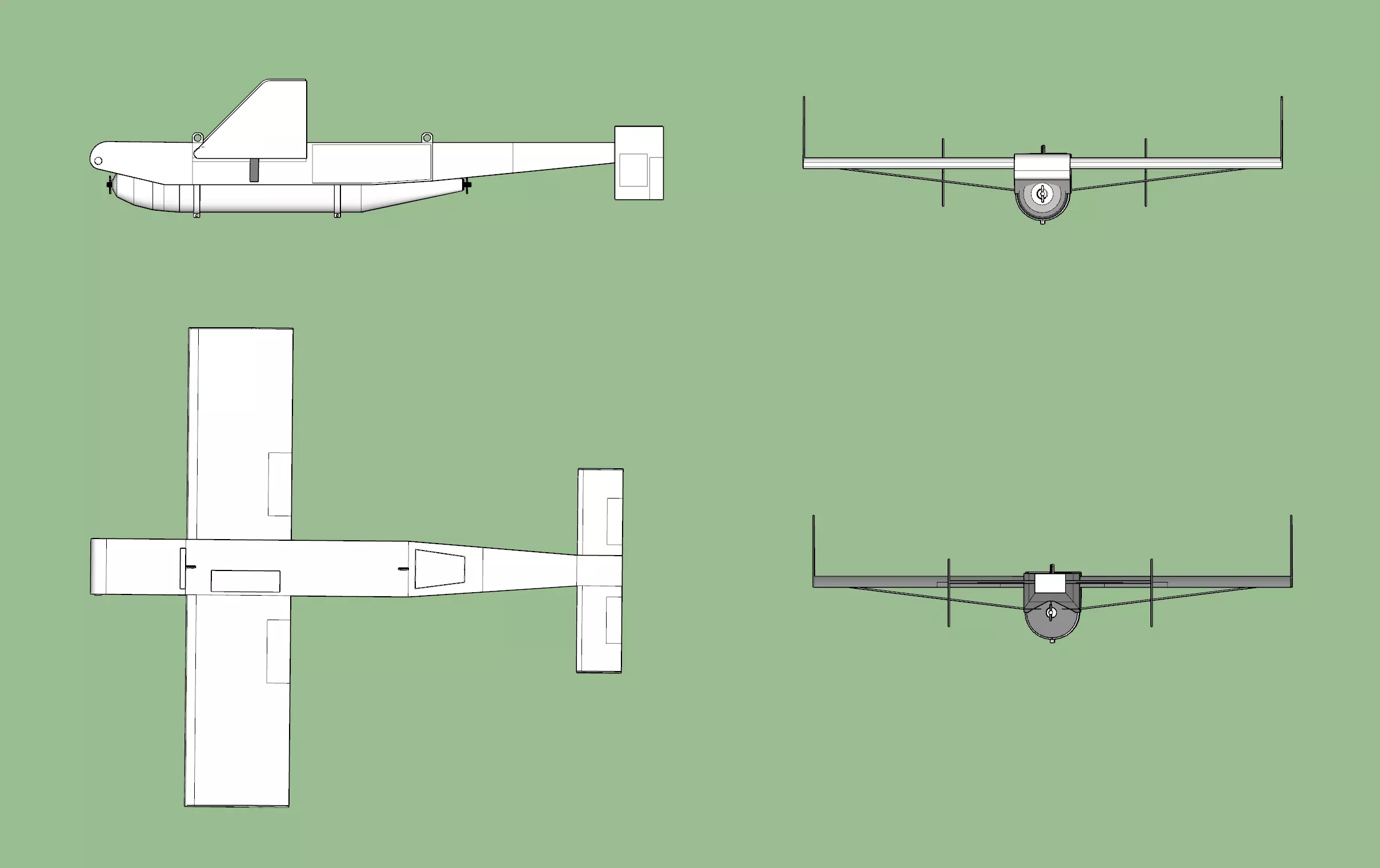 Photobombus regia aeronautica.